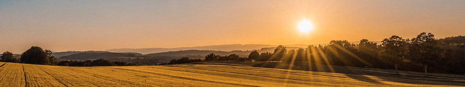 The Comprehensive Guide to Travel Insurance Benefits from Allianz ...