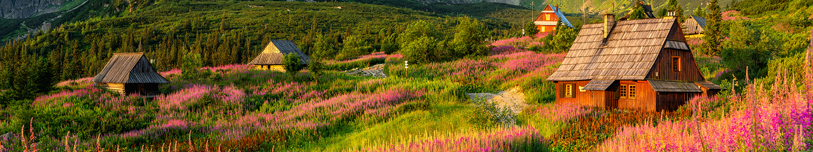 Bereavement Flights and Family Emergency Travel | Allianz Global Assistance